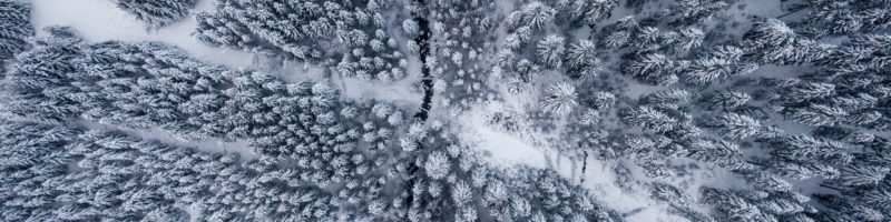 Tokophobia: Symptoms, Treatments, & How to Cope