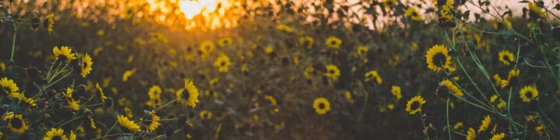 Sexual Coercion Examples How To Respond And Getting Help