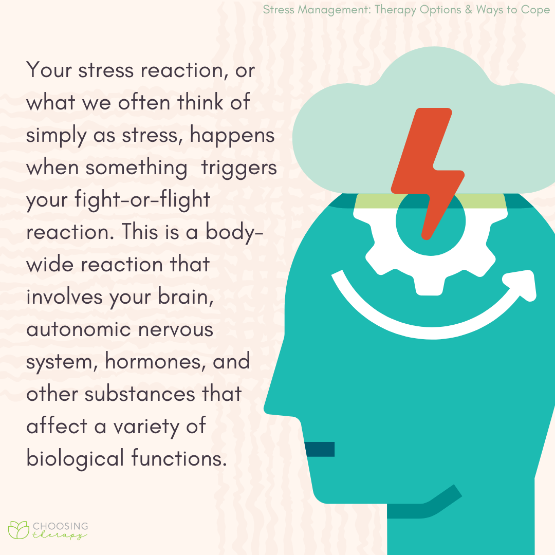 Stress Management: 5 Ways to Cope & 7 Therapy Options