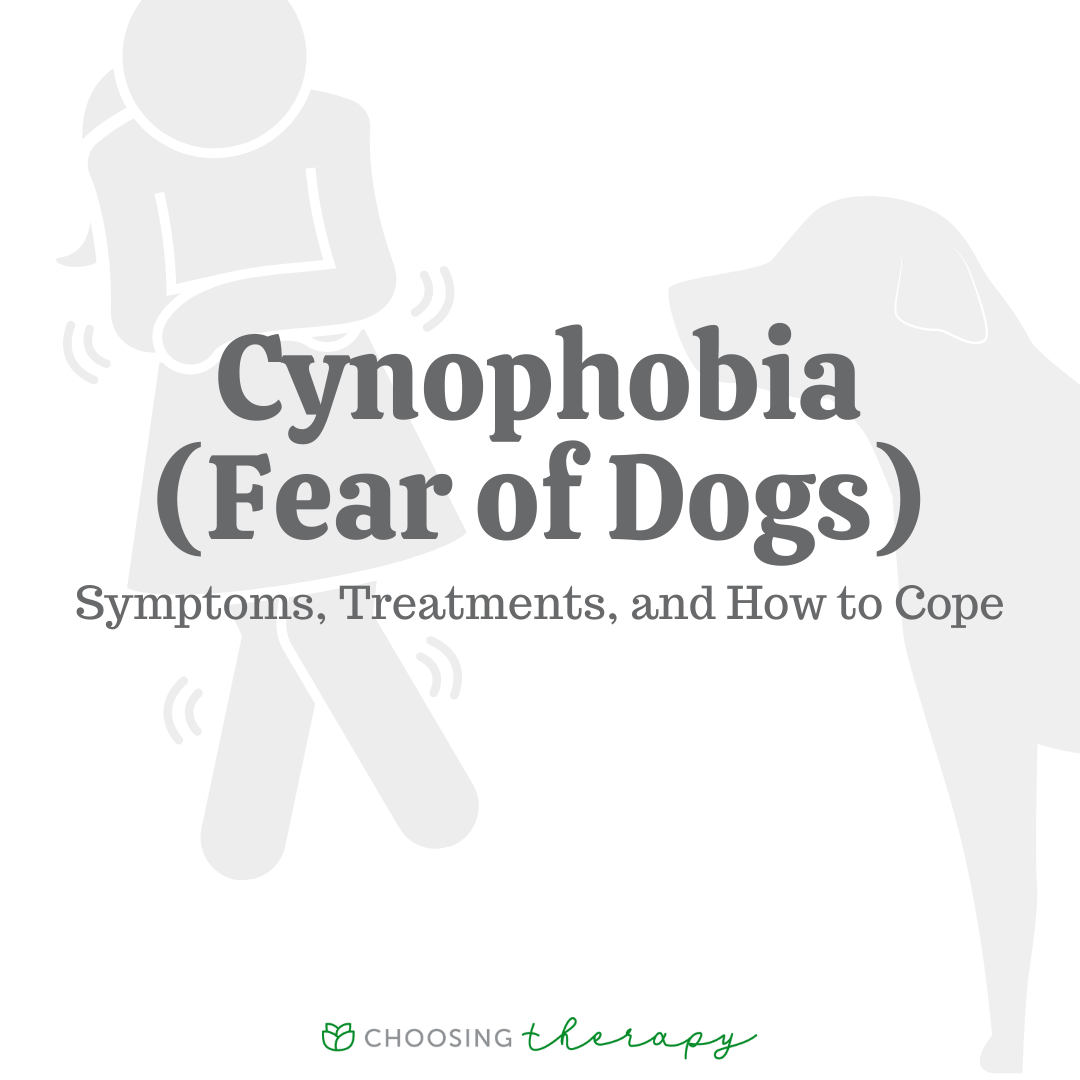 What is Cynophobia & How to Cope with a Fear of Dogs?