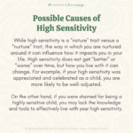 What is a Highly Sensitive Person? And Signs You May Be an HSP