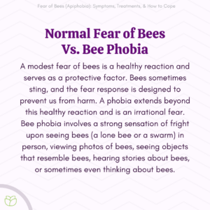 How to Overcome the Fear of Bees