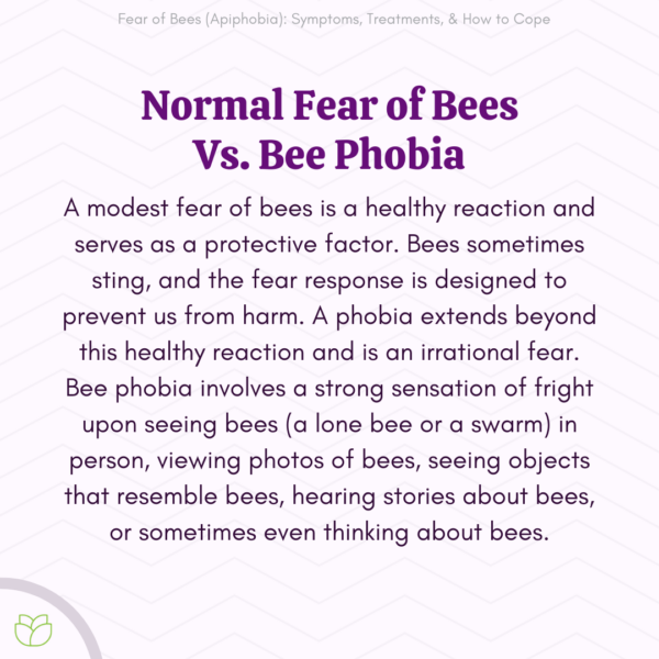 How to Overcome the Fear of Bees