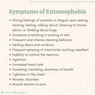 How to Overcome the Fear of Bugs