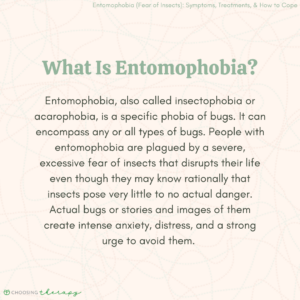 How to Overcome the Fear of Bugs