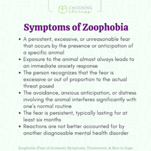 How to Overcome the Fear of Animals