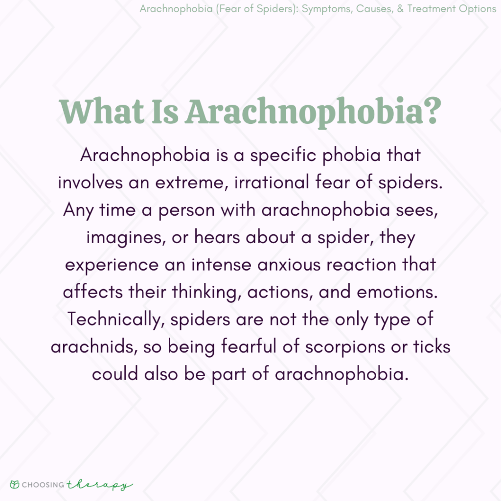 Arachnophobia (Fear of Spiders): Symptoms, Causes, & Treatment Options