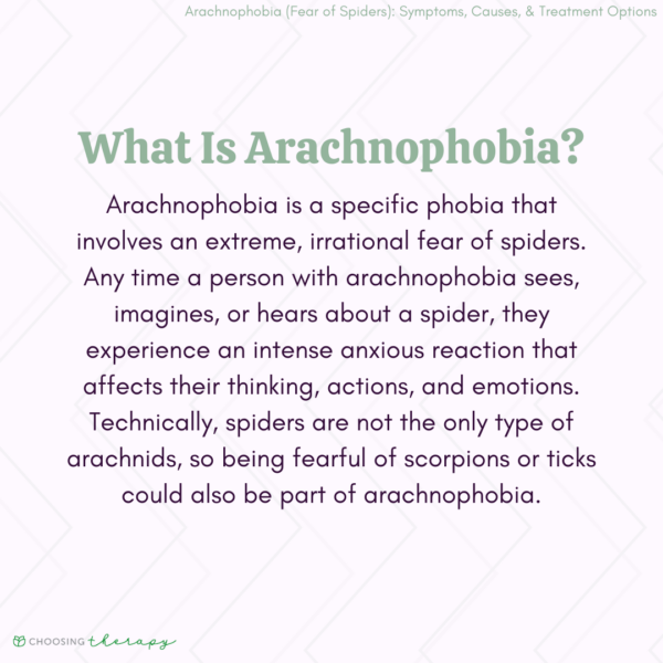 Arachnophobia (Fear of Spiders): Symptoms, Causes, & Treatment Options