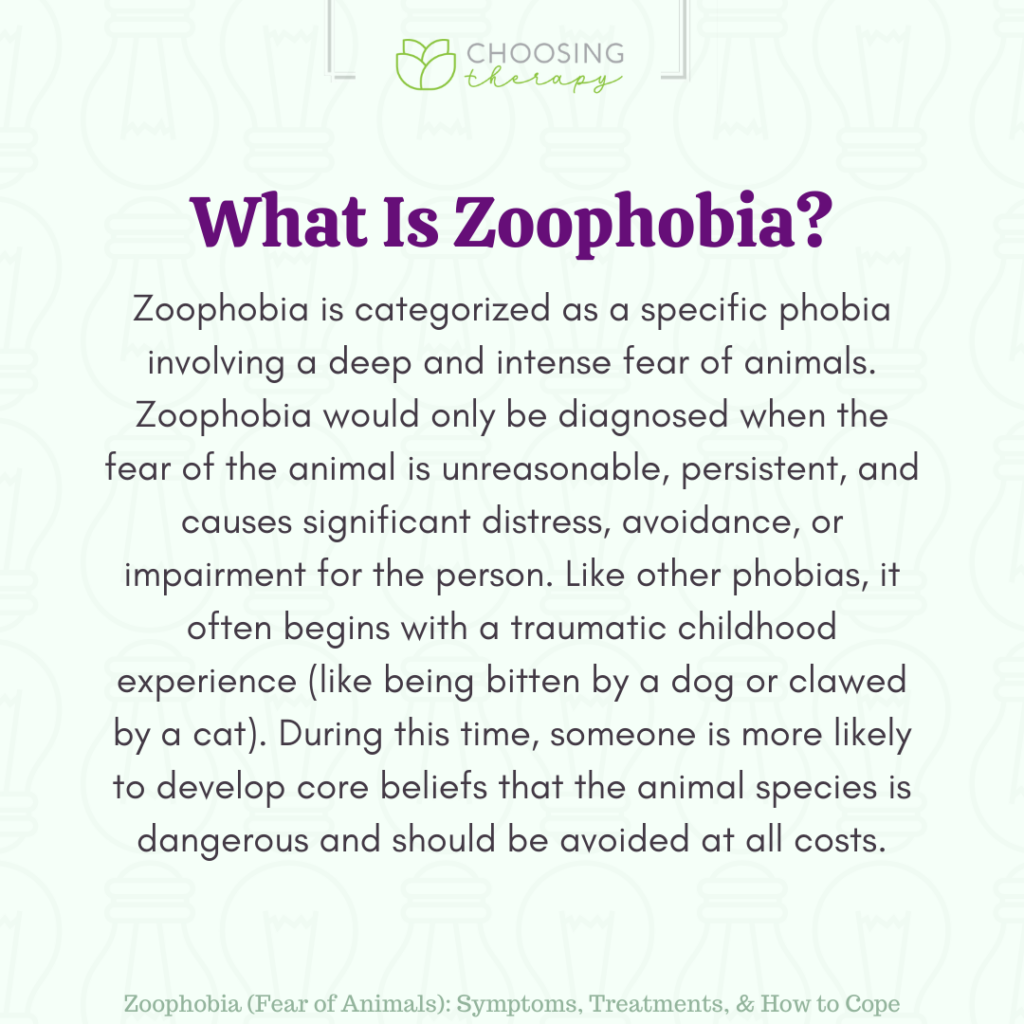 How to Overcome the Fear of Animals