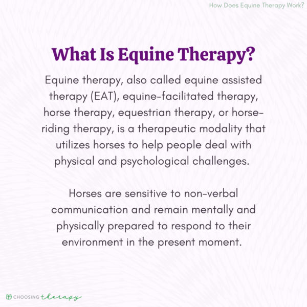 How Does Equine Therapy Work?