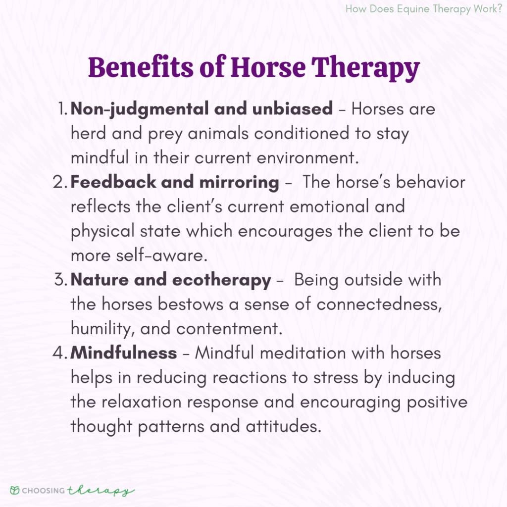 How Does Equine Therapy Work?