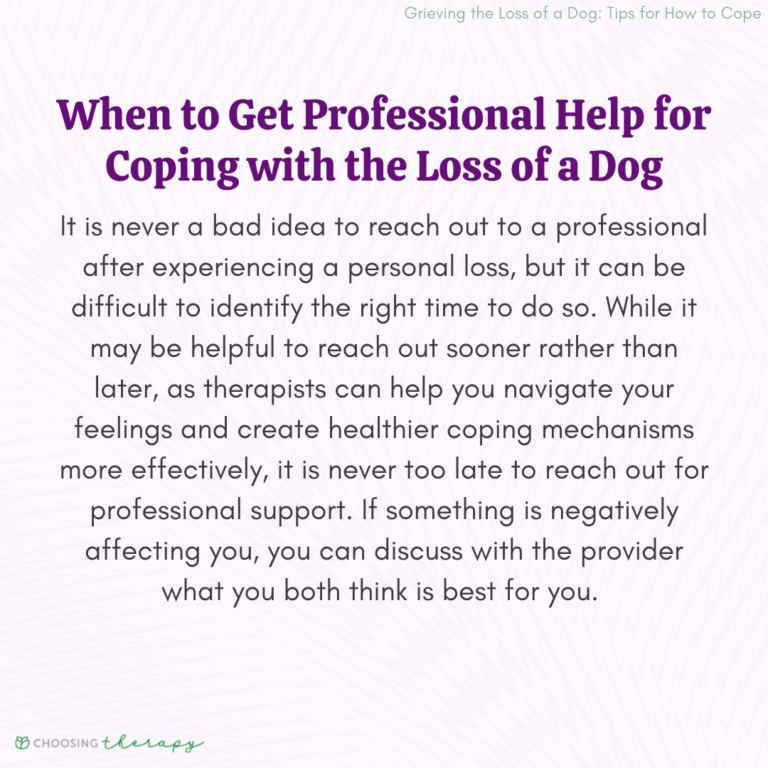 Grieving the Loss of a Dog