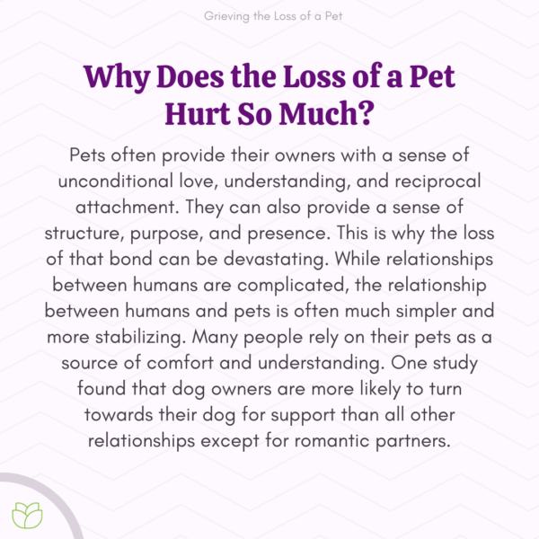 Grieving the Loss of a Pet: 10 Ways to Cope