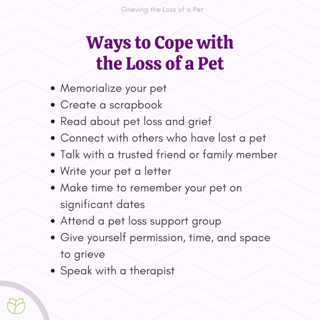 Grieving the Loss of a Pet: 10 Ways to Cope