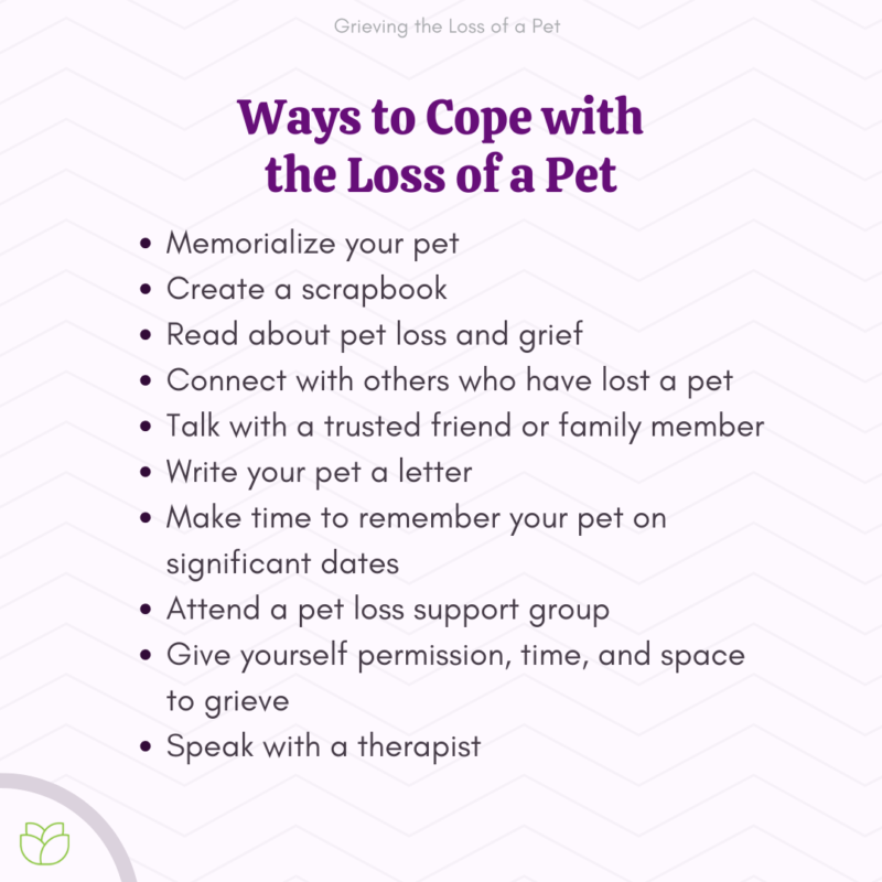 Grieving the Loss of a Pet: 10 Ways to Cope