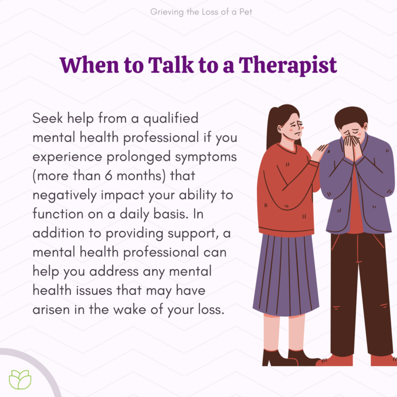 Grieving the Loss of a Pet: 10 Ways to Cope