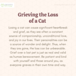 How Can Losing a Cat Cause Grief?