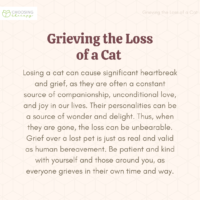 How Can Losing a Cat Cause Grief?