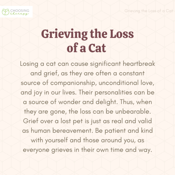 How Can Losing a Cat Cause Grief?