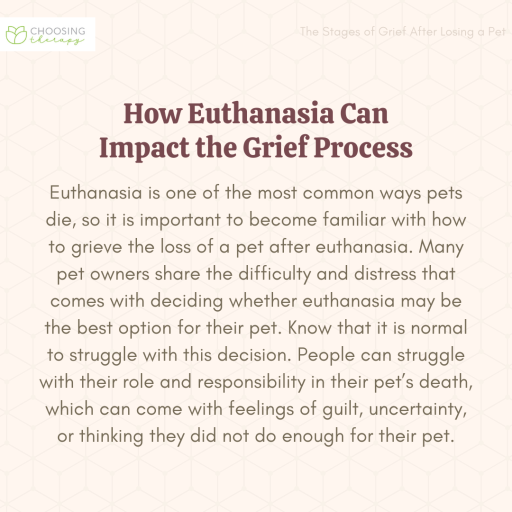 What Are the Stages of Grief for Pet Loss?
