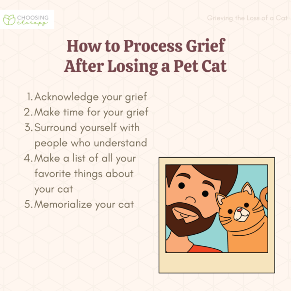 How Can Losing a Cat Cause Grief?