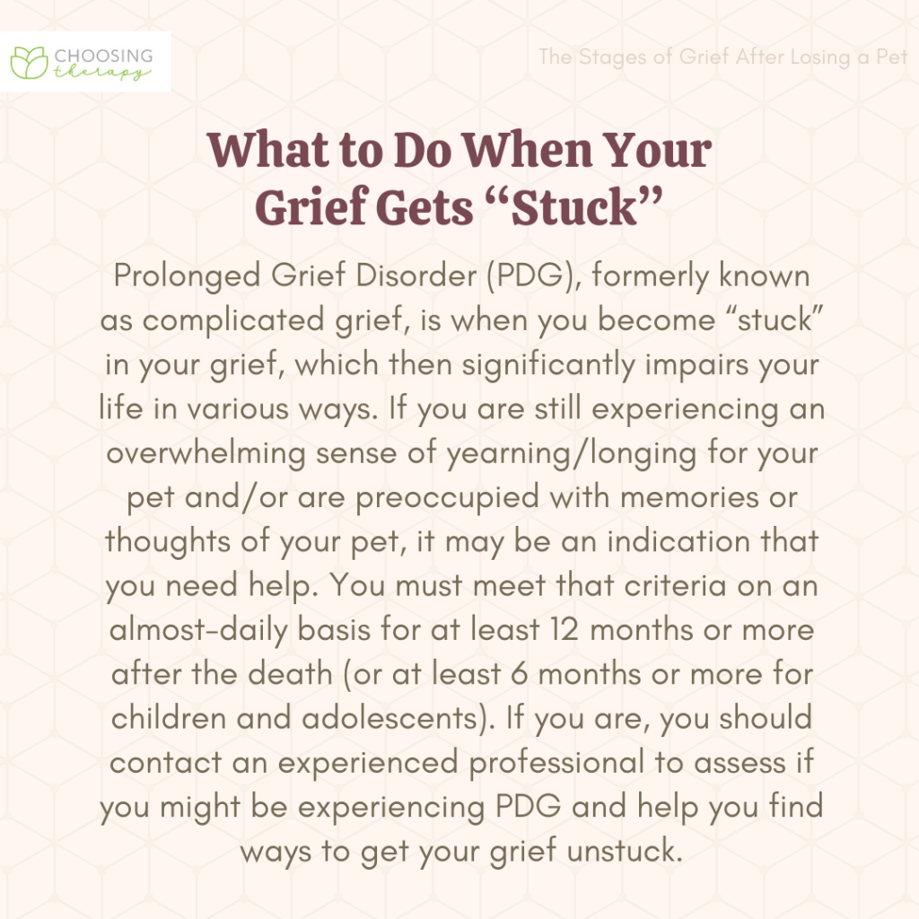 What Are the Stages of Grief for Pet Loss?