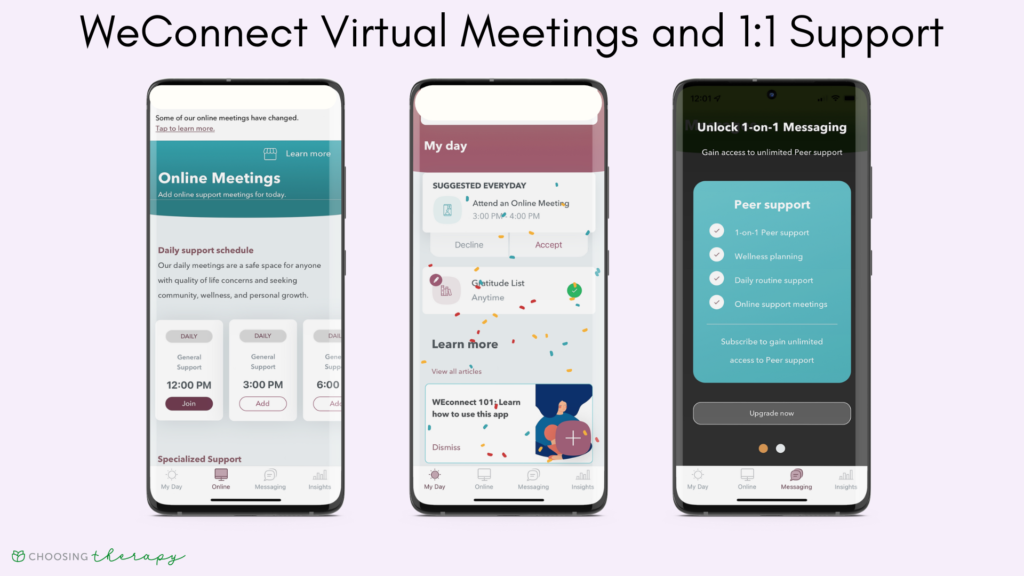 WeConnect Recovery App Review - Choosing Therapy