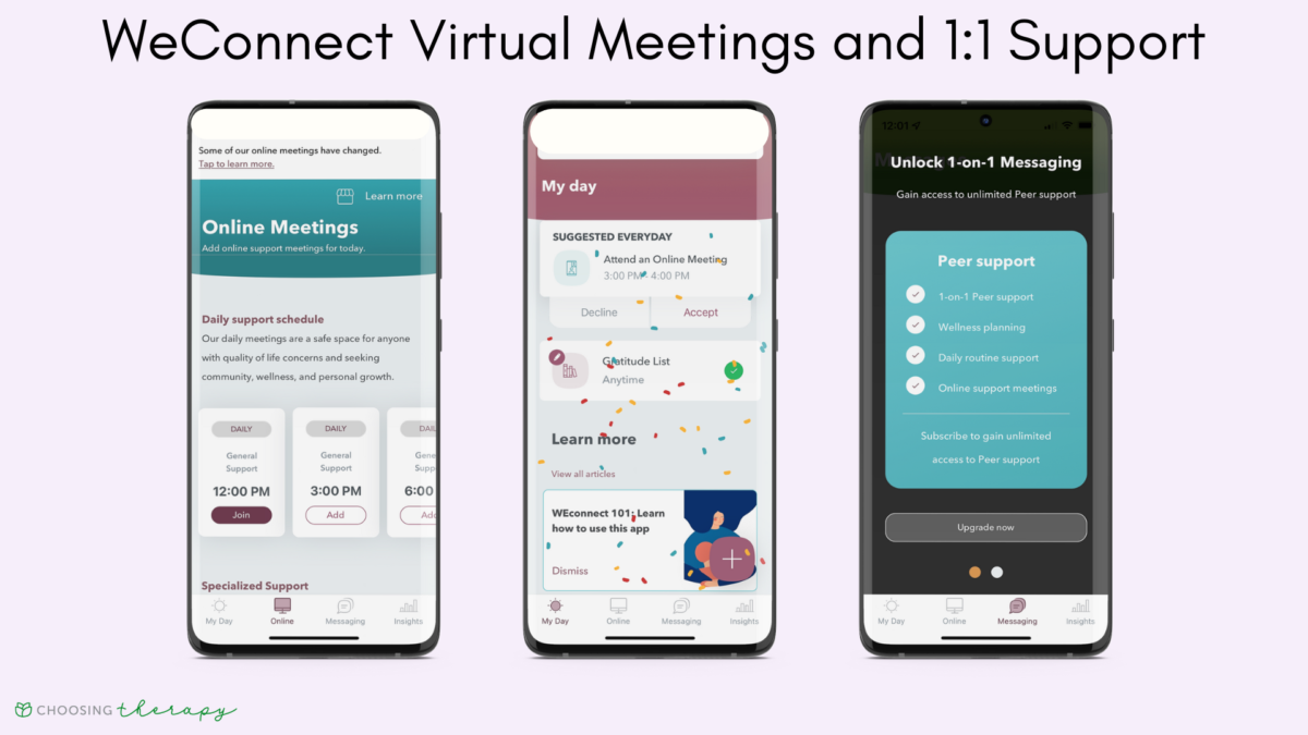 WeConnect Recovery App Review - Choosing Therapy