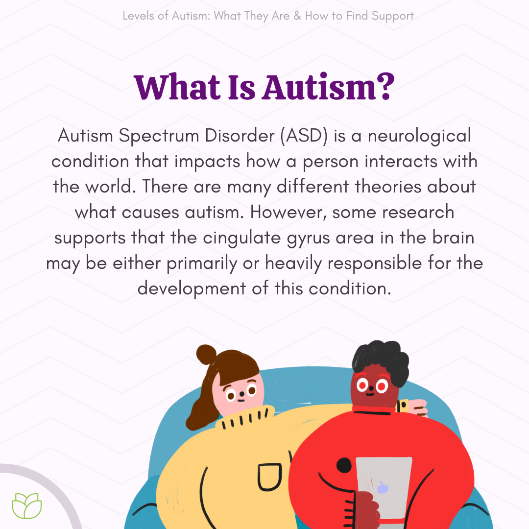 What Are The Different Levels Of Autism 