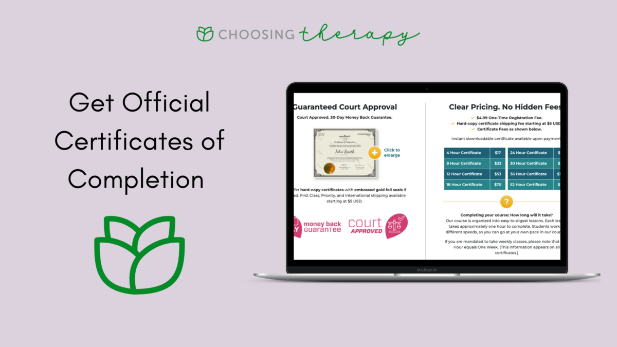 Open Path Anger Management Review 2024