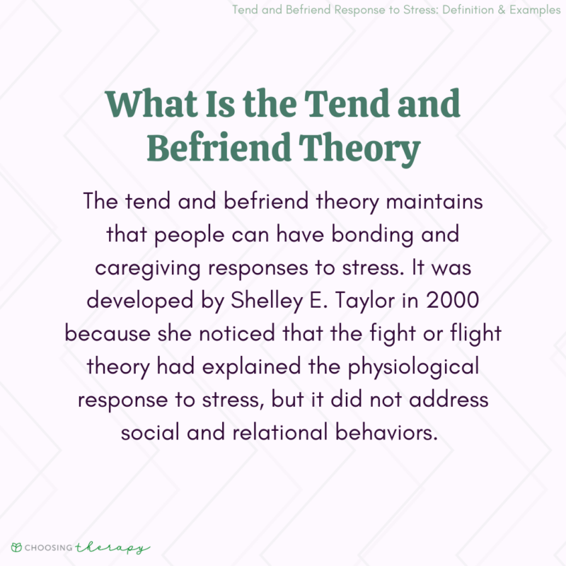 What Is the Tend & Befriend Response?