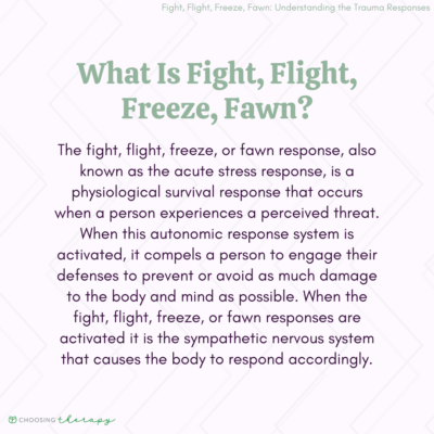 What Is the Fight Flight Freeze Fawn Response?
