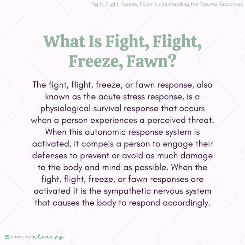 What Is the Fight Flight Freeze Fawn Response? What Is the Fight Flight Freeze Fawn Response?