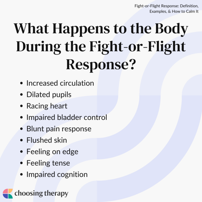 What Is the Fight or Flight Response?