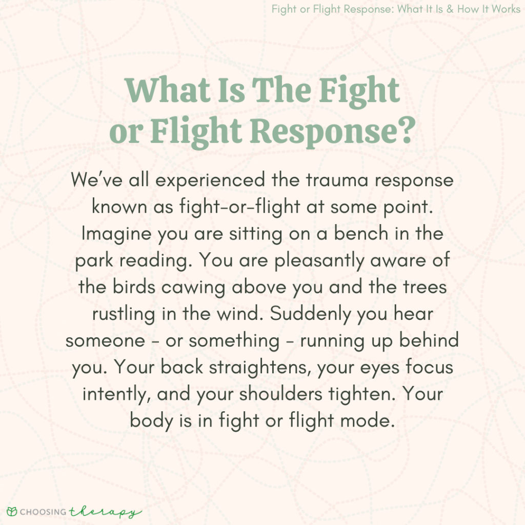 What Is the Fight or Flight Response?