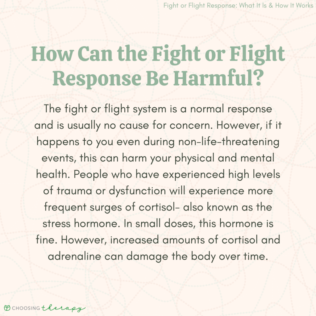 What Is the Fight or Flight Response?