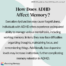 ADHD & Forgetfulness: Does ADHD Cause Memory Loss?