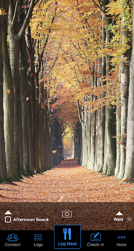 Best Apps for Eating Disorder Recovery