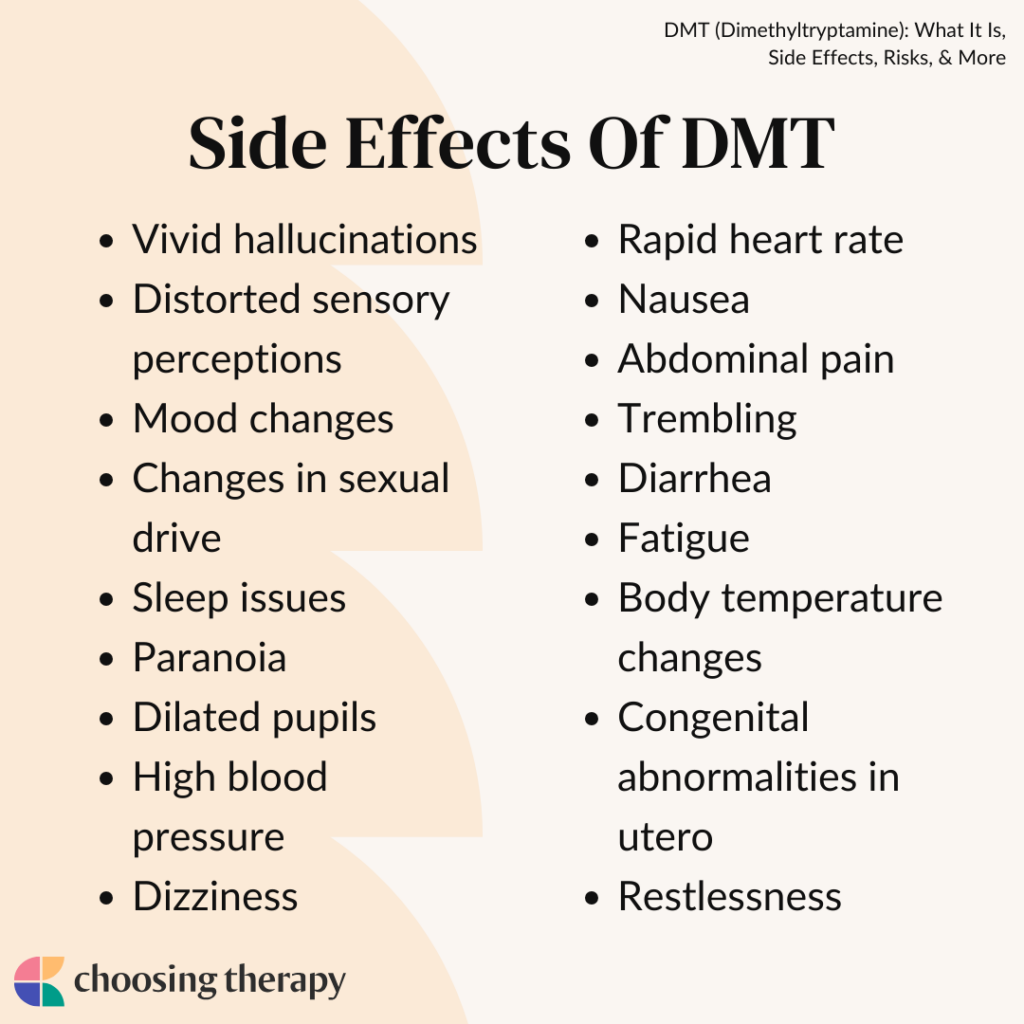 DMT: Everything You Need To Know