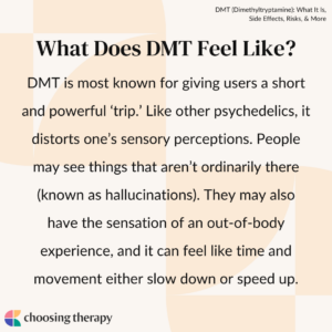 DMT: Everything You Need To Know
