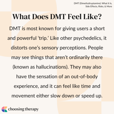 DMT: Everything You Need To Know