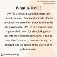 DMT: Everything You Need To Know