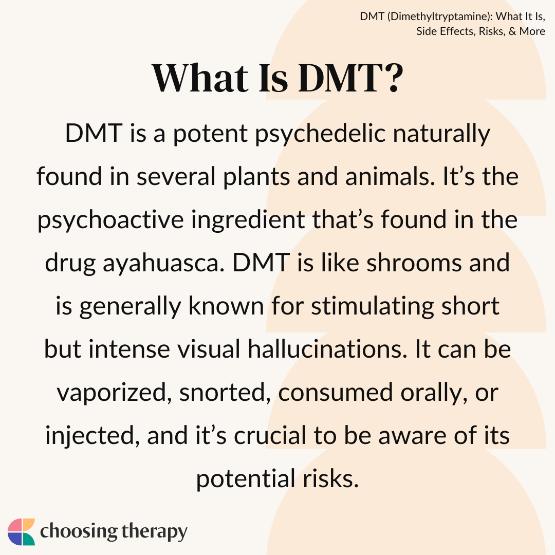 DMT Everything You Need To Know DMT Everything You Need To Know