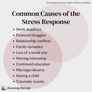Stress Reaction: Causes, Stages, & Effects