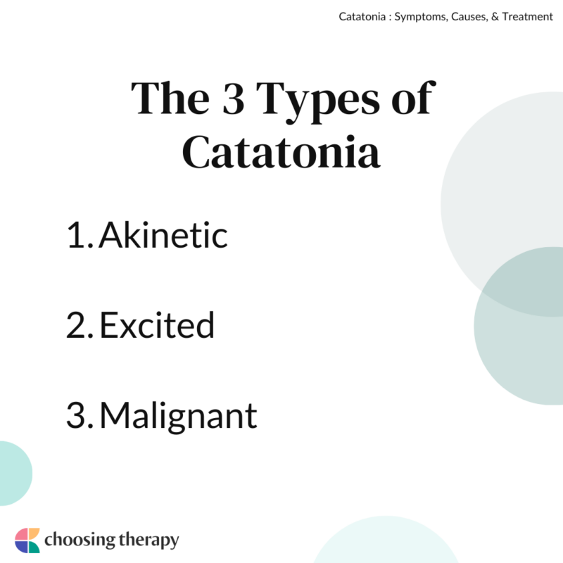 What is Catatonia?