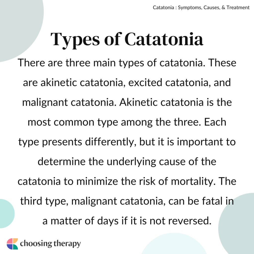 What is Catatonia?