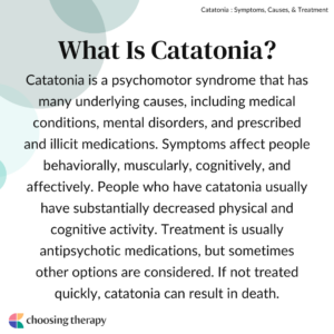 What is Catatonia?