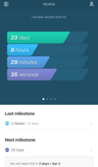I Am Sober App Review 2025